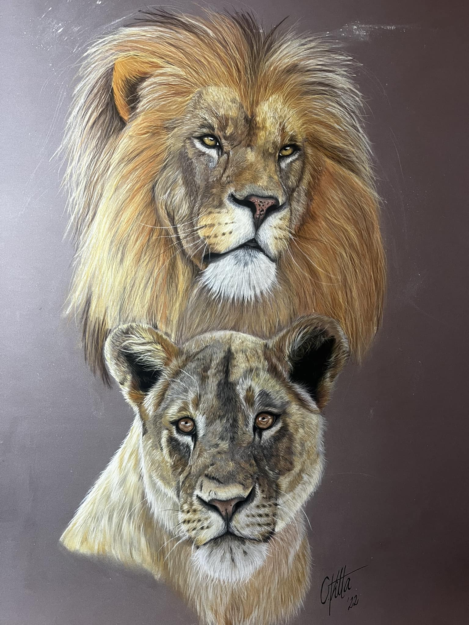 Feinstich Tattoo Enger - Über mich